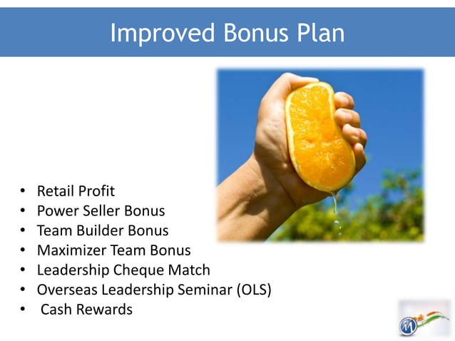 Modicare Plan Overview by Munish Chopra | PPTX | Business Accounting ...