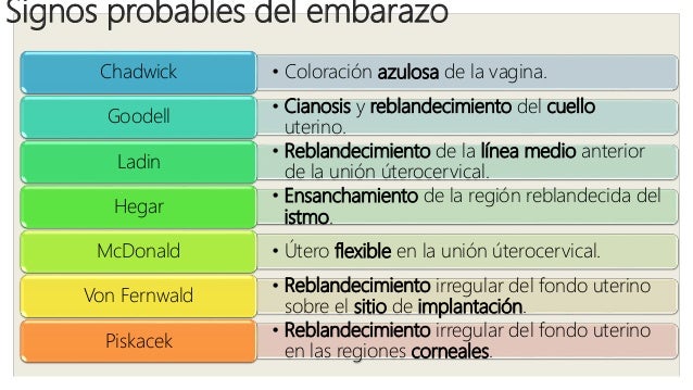Modificaciones en-el-embarazo