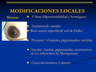 Modificaciones GravíDicas 1 | PPT