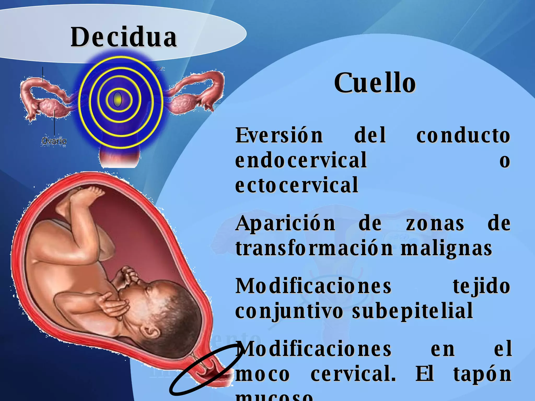 Modificaciones GravíDicas | PPT