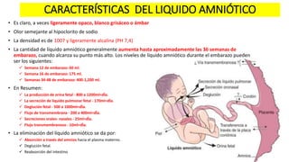 Modificaciones fisologicas del feto 2020 | PPTX