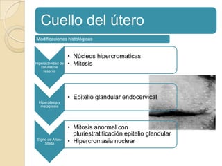 Modificaciones locales | PPTX