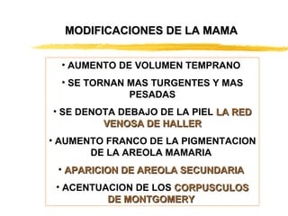 Modificaciones Locales del embarazo | PPT