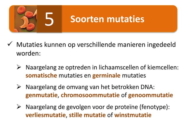 Modificaties en mutaties (6).ppt biologie | PPT