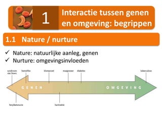 Modificaties en mutaties (6).ppt biologie | PPT