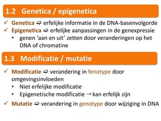 Modificaties en mutaties (6).ppt biologie | PPT