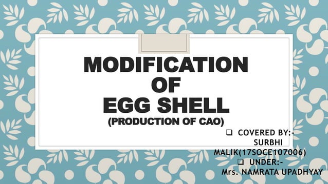 Modification of egg shells | PPTX | Commodities | Economy