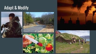 Modification and adaption | PDF