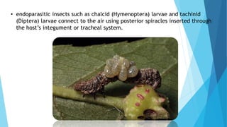 Modification in respiratory organs and respiration in endoparasitic ...