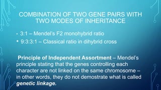 ppt on the modificationn_of_mendelian_ratio.pptx