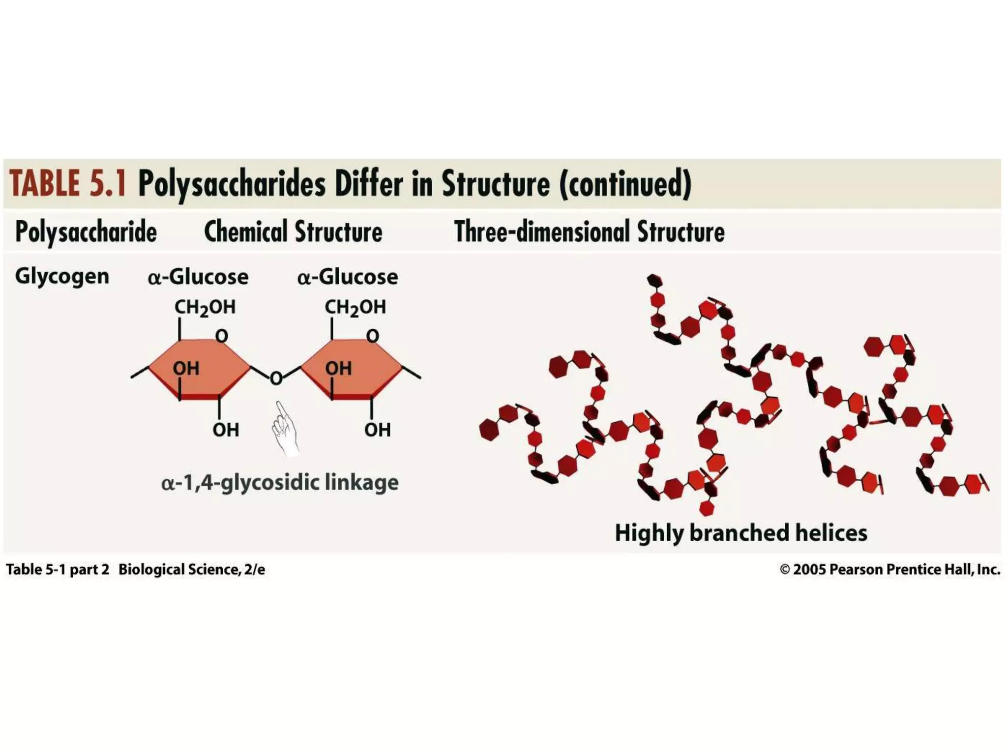 Modification of Carbohydrates.ppt