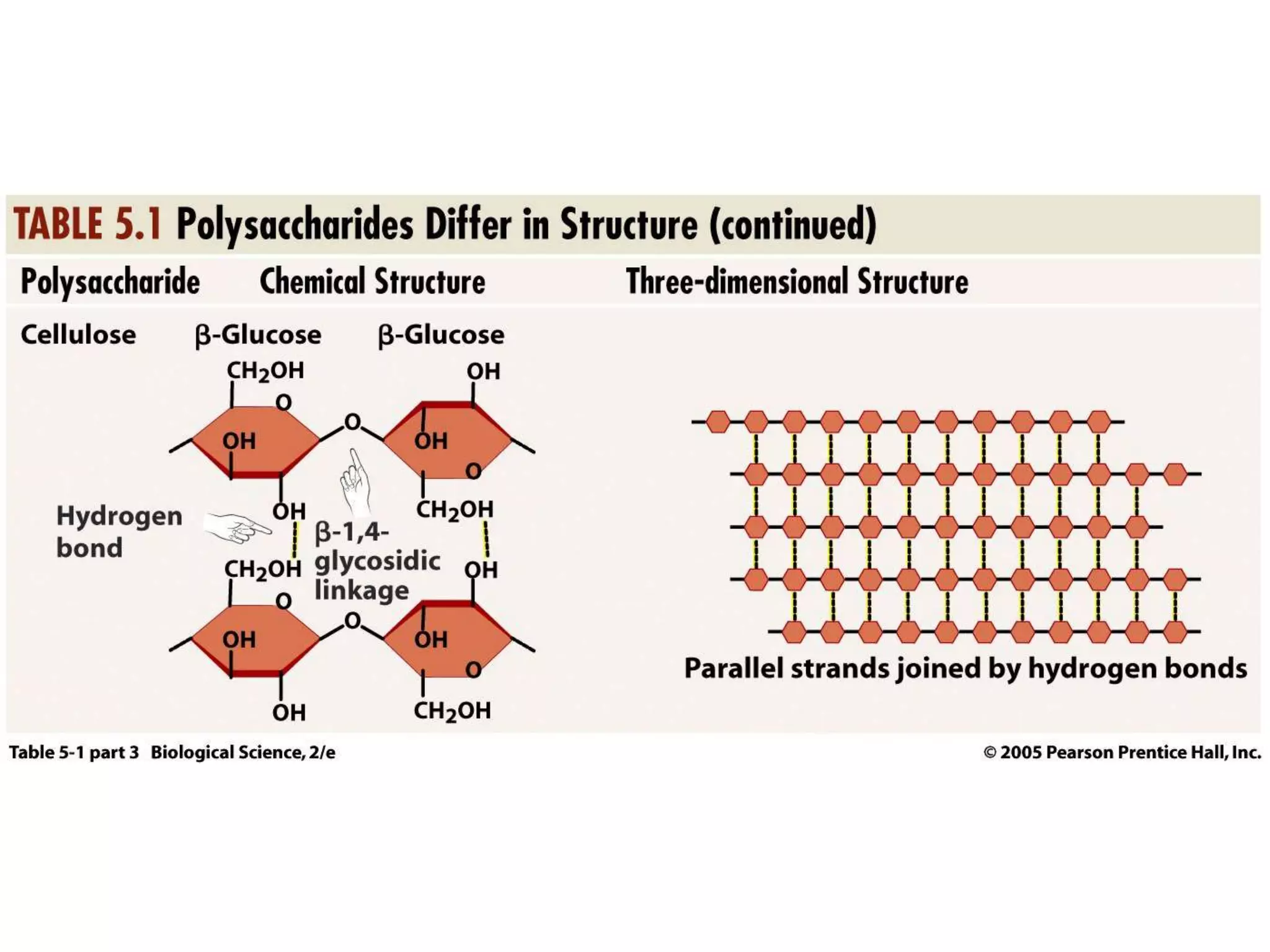 Modification of Carbohydrates.ppt