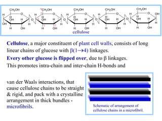 Modification of Carbohydrates.ppt