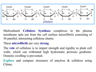 Modification of Carbohydrates.ppt