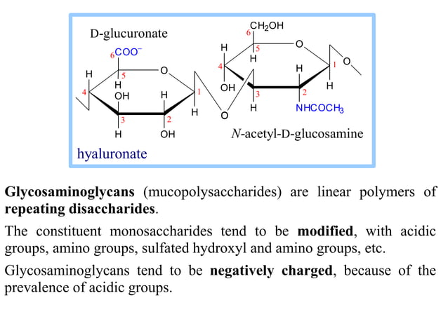 Modification of Carbohydrates.ppt