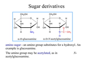 Modification of Carbohydrates.ppt