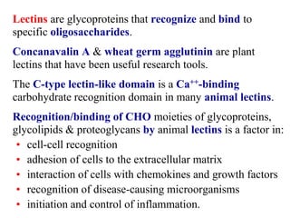 Modification of Carbohydrates.ppt