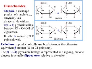 Modification of Carbohydrates.ppt