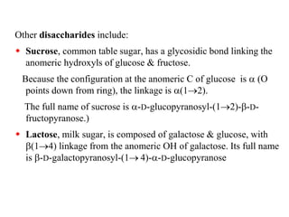 Modification of Carbohydrates.ppt