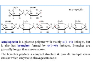 Modification of Carbohydrates.ppt