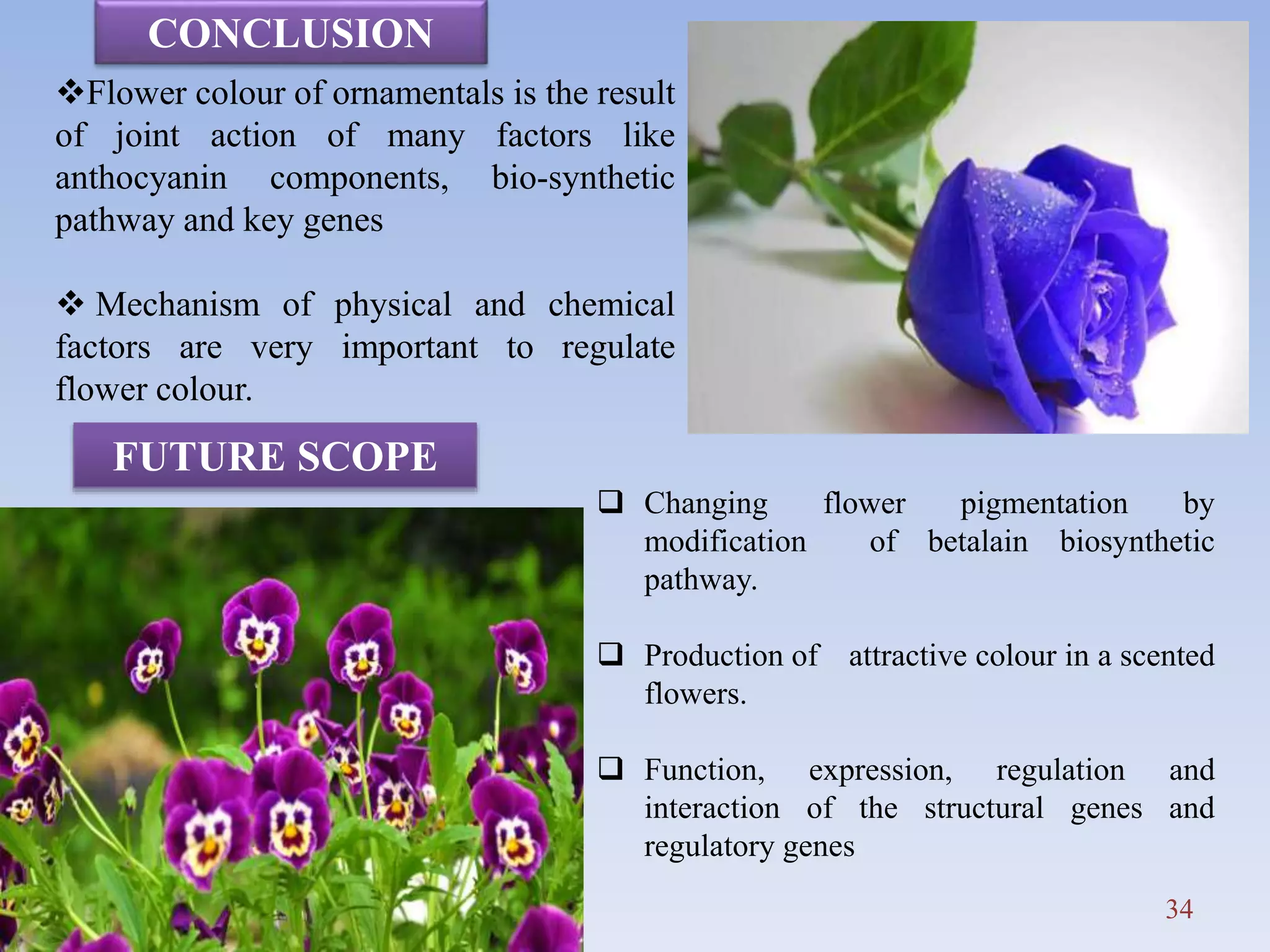 FLOWER COLOUR MODIFICATION | PPTX