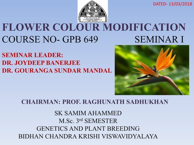 FLOWER COLOUR MODIFICATION | PPTX | Gardening | Home & Garden