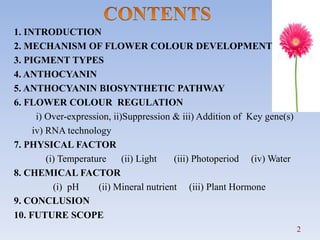 FLOWER COLOUR MODIFICATION | PPTX