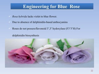 FLOWER COLOUR MODIFICATION | PPTX