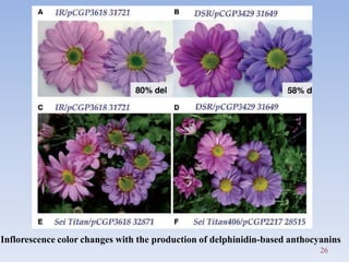 FLOWER COLOUR MODIFICATION | PPTX