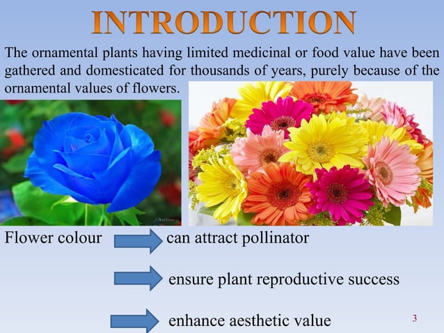 FLOWER COLOUR MODIFICATION | PPTX | Gardening | Home & Garden