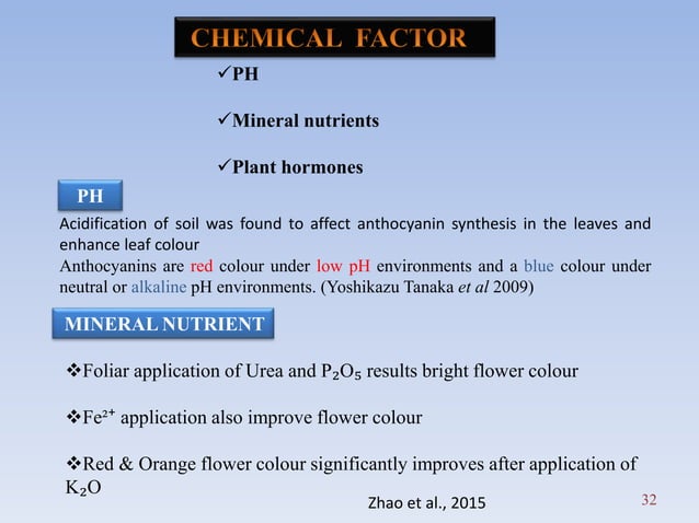 FLOWER COLOUR MODIFICATION | PPTX | Gardening | Home & Garden