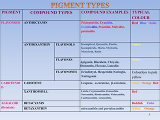 FLOWER COLOUR MODIFICATION | PPTX