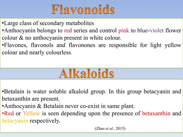 FLOWER COLOUR MODIFICATION | PPTX | Gardening | Home & Garden
