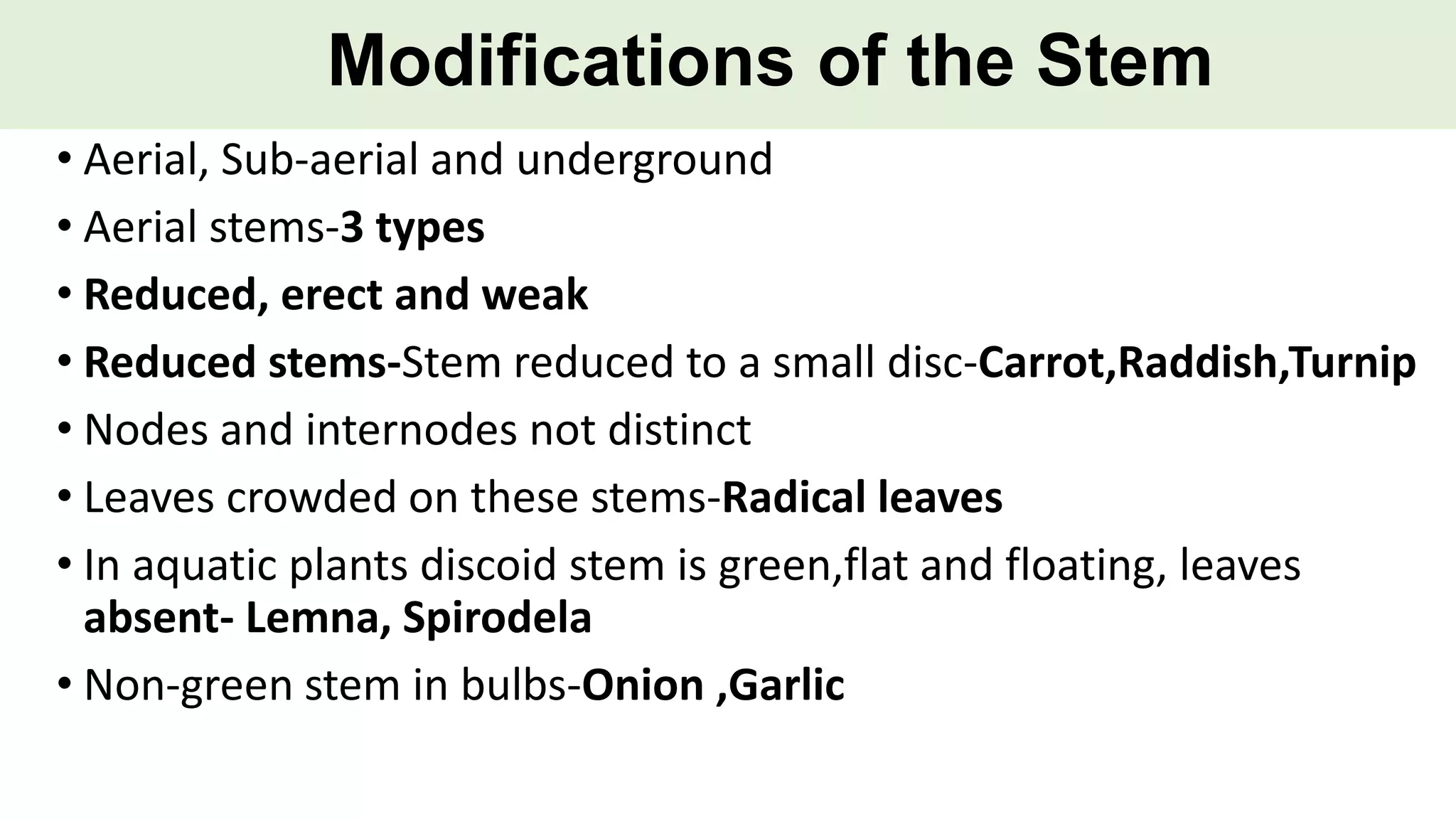 Modification of stem | PPTX