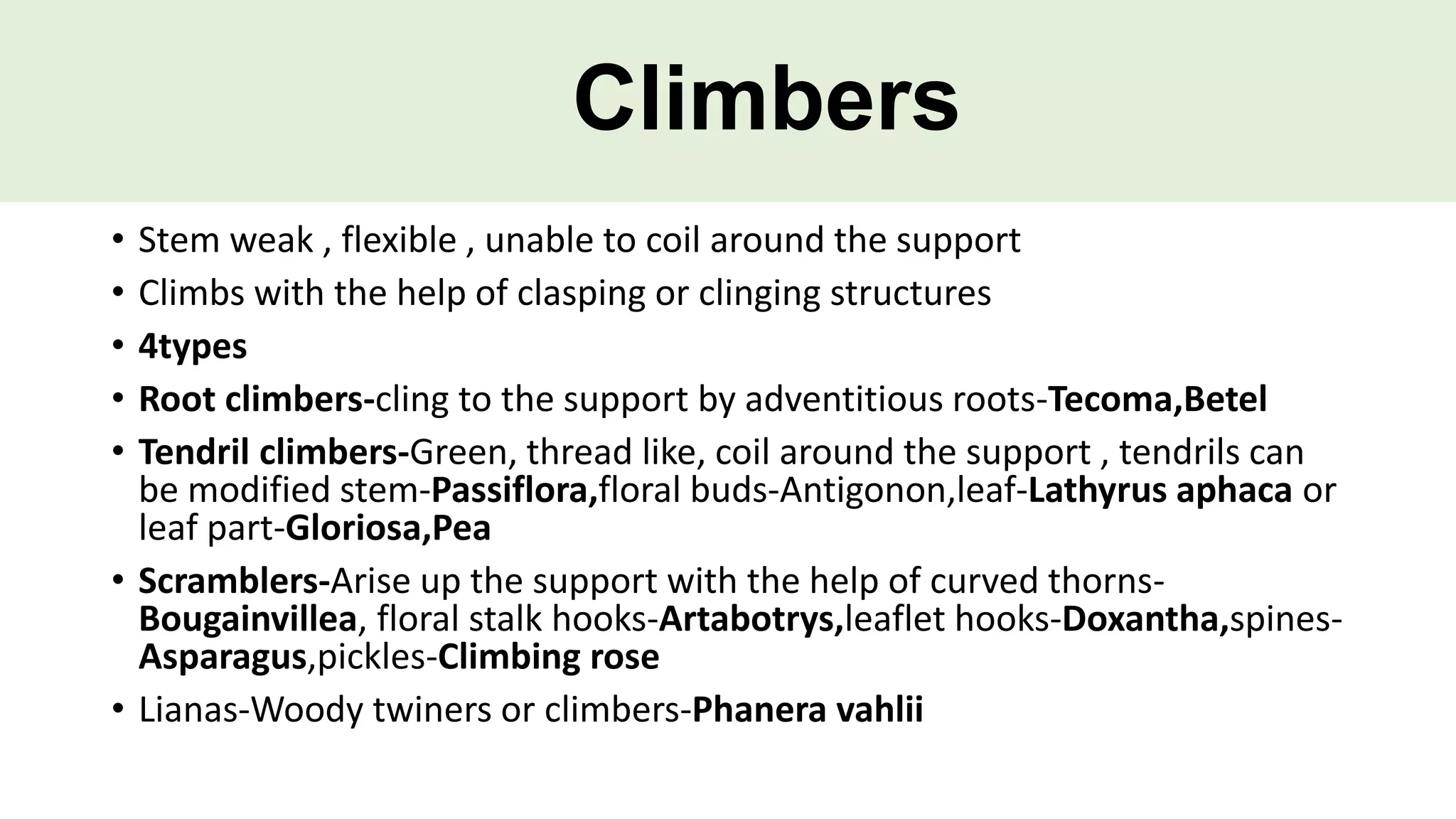 Modification of stem | PPTX