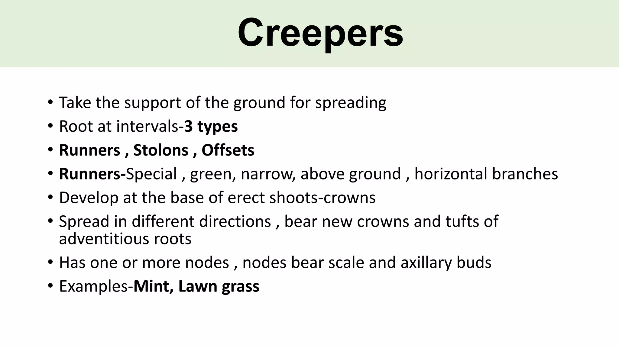 Modification of stem | PPTX