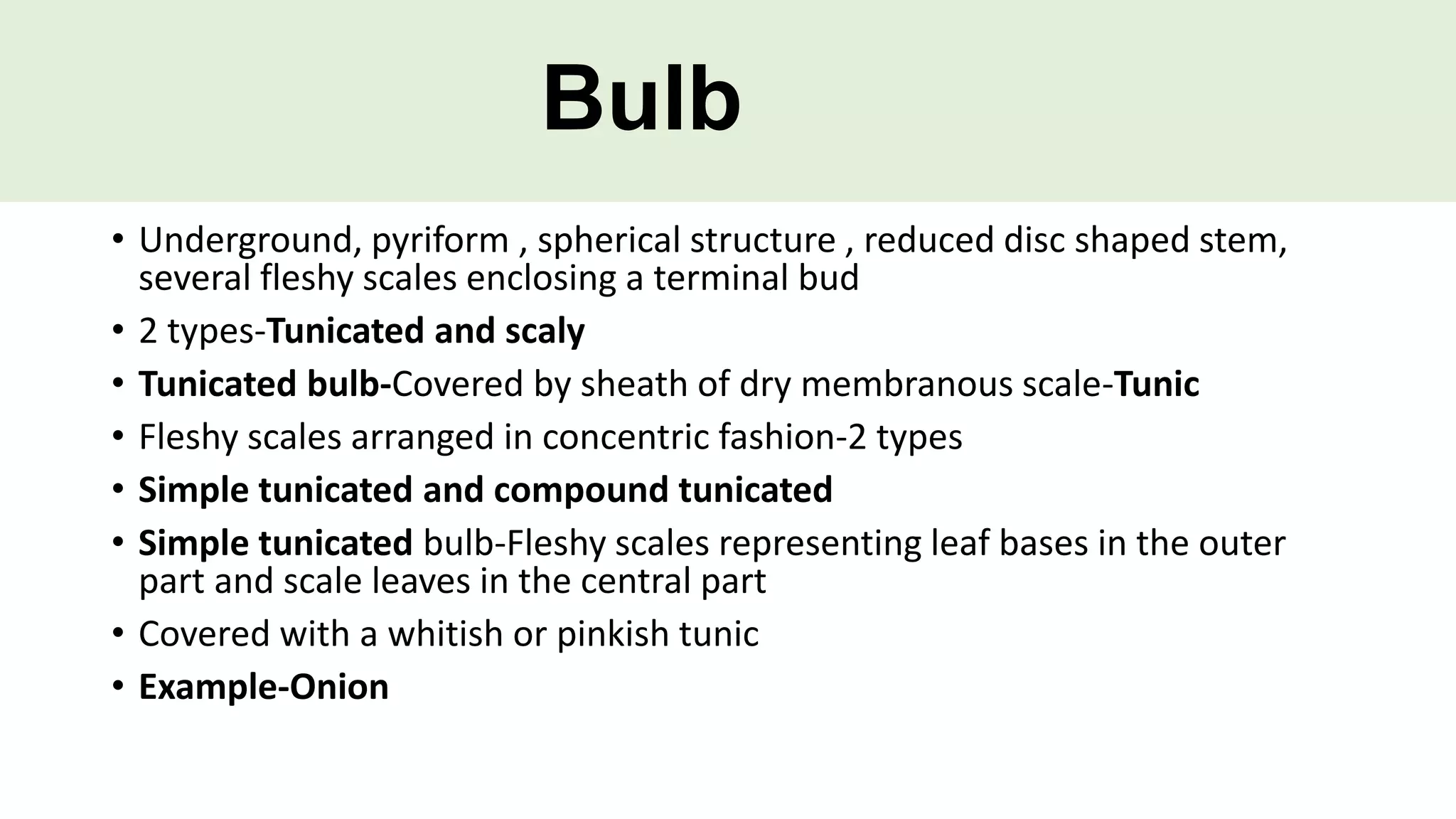 Modification of stem | PPTX | Gardening | Home & Garden