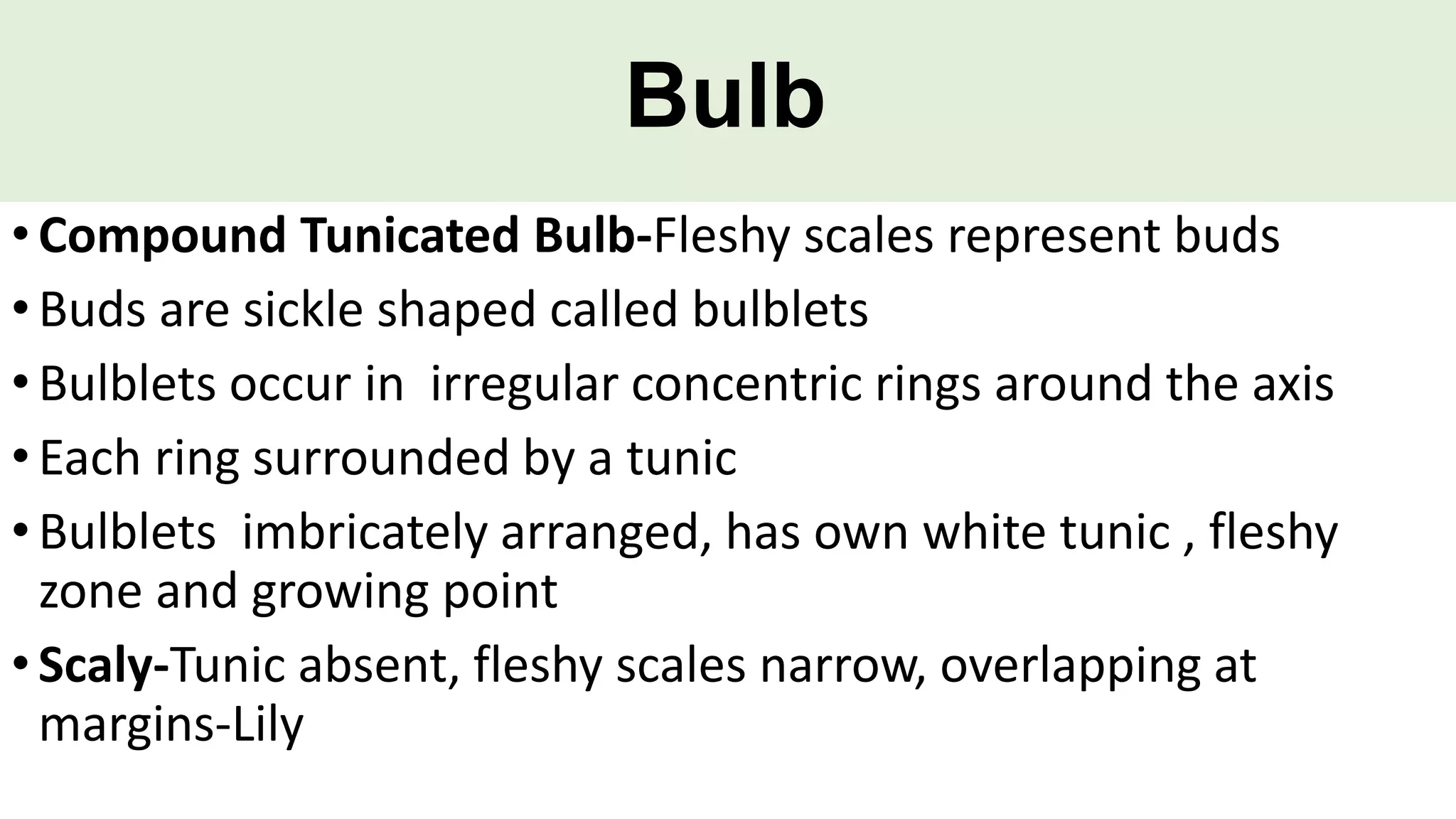 Modification of stem | PPTX