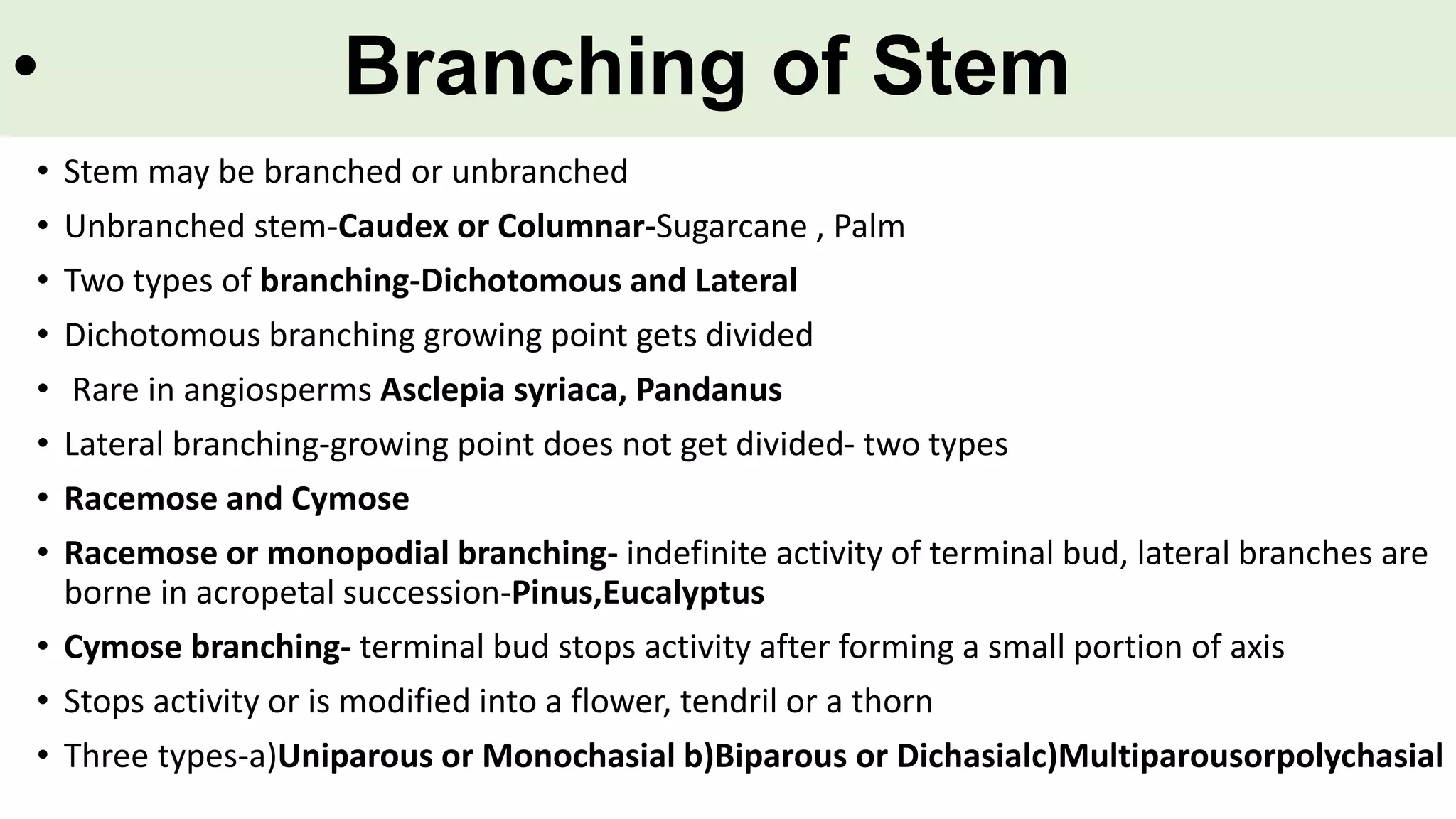 Modification of stem | PPTX