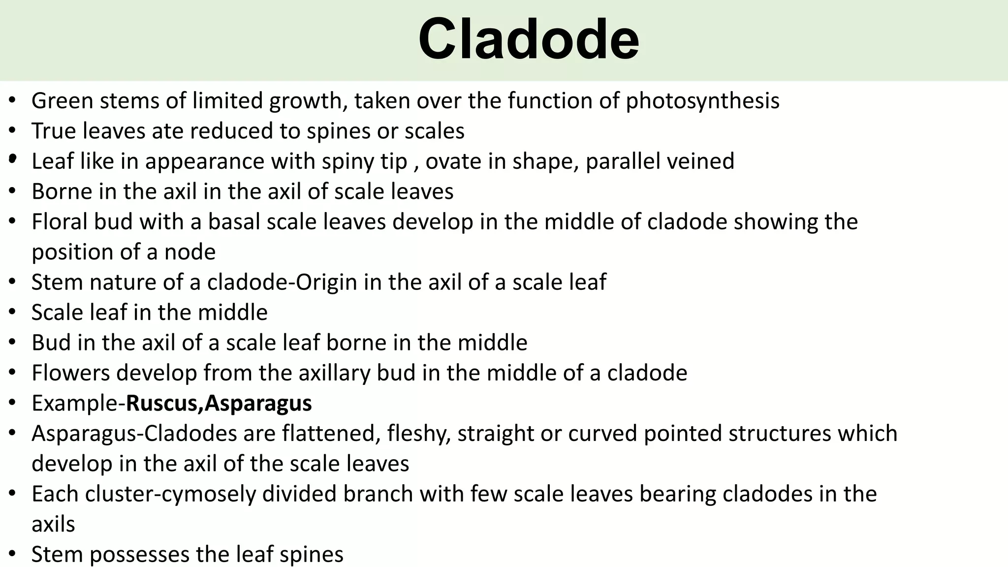 Modification of stem | PPTX