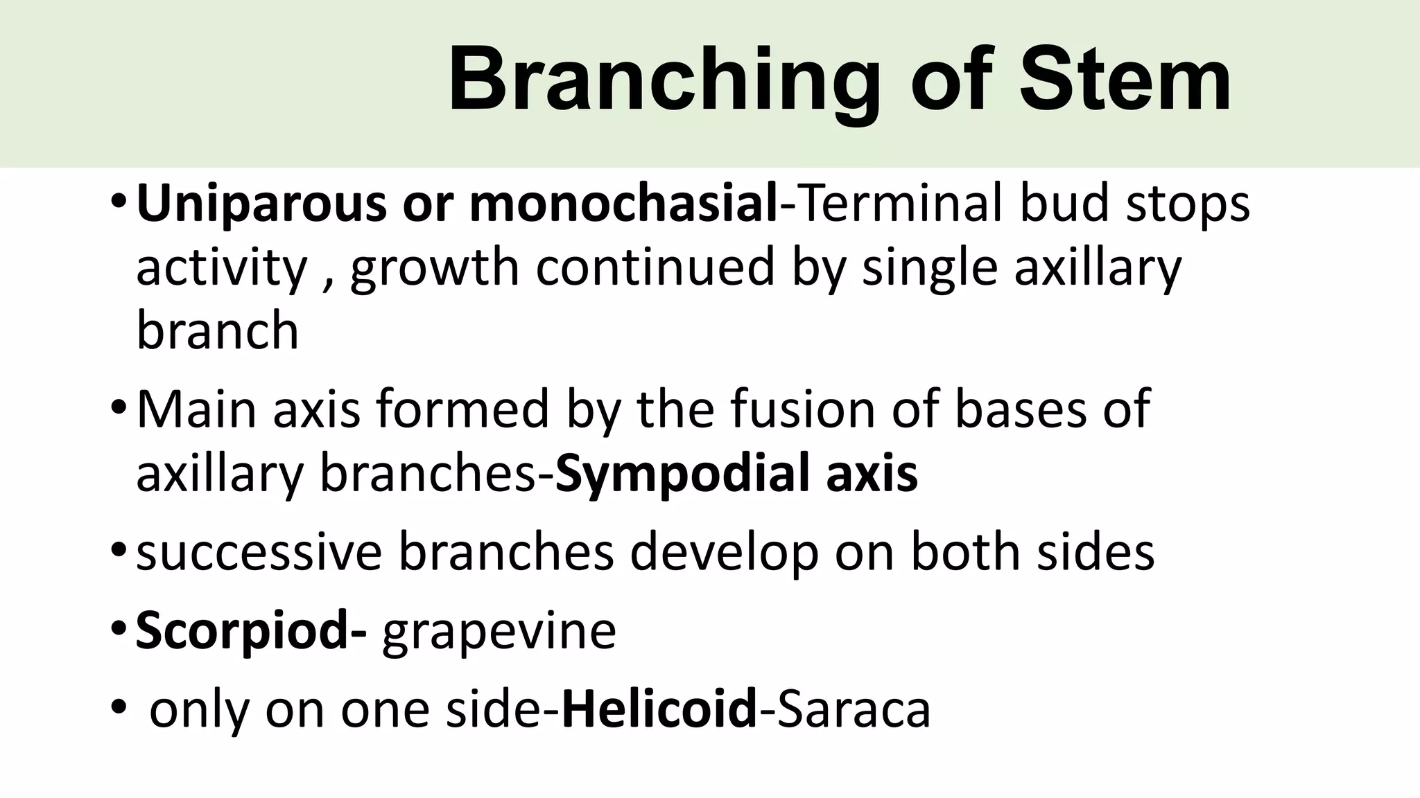 Modification of stem | PPTX
