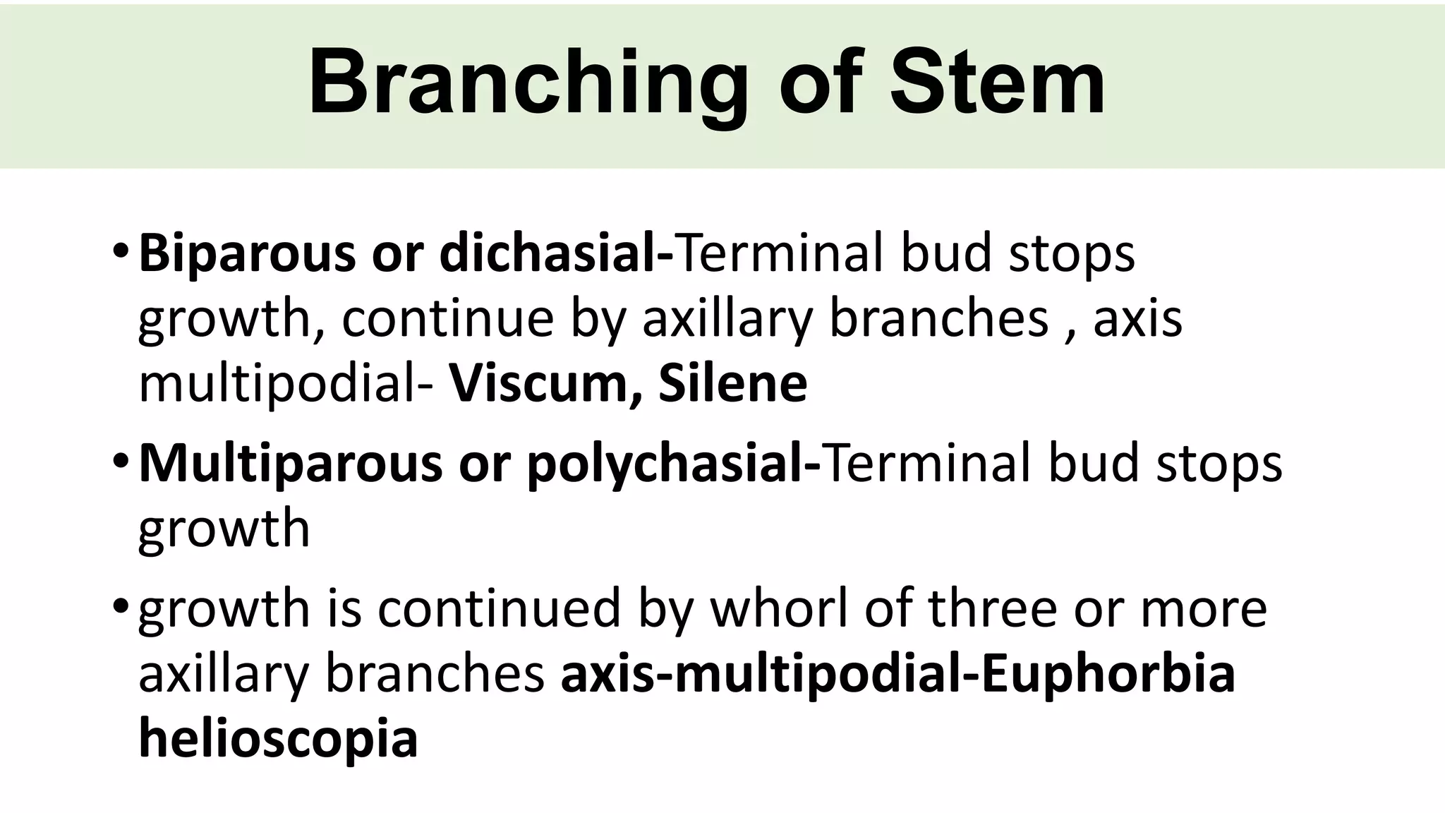 Modification of stem | PPTX