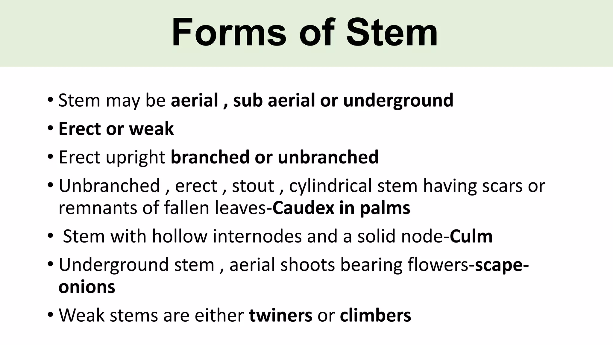Modification of stem | PPTX