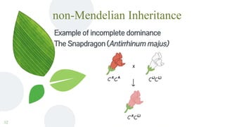 Modifications-to-Mendels-Classic-Ratios.pdf