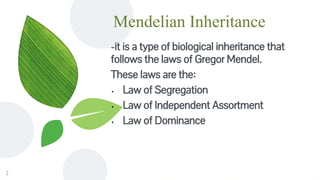 Modifications-to-Mendels-Classic-Ratios.pdf