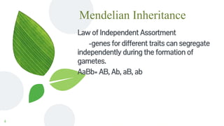 Modifications-to-Mendels-Classic-Ratios.pdf