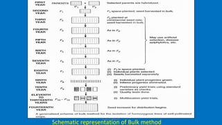 Modifications in handling of segregating generations | PPT