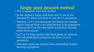 Modifications in handling of segregating generations | PPT