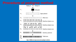 Modifications in handling of segregating generations | PPT
