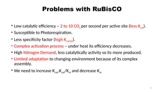 Modifications in RuBisCO system to enhance photosynthesis .pptx